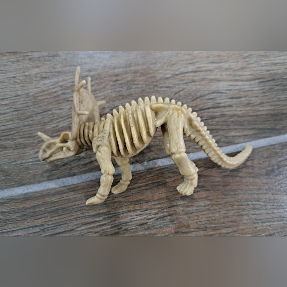 Source Unknown | Toys | Triceratops Dinosaur Toy Skeleton Plastic ...